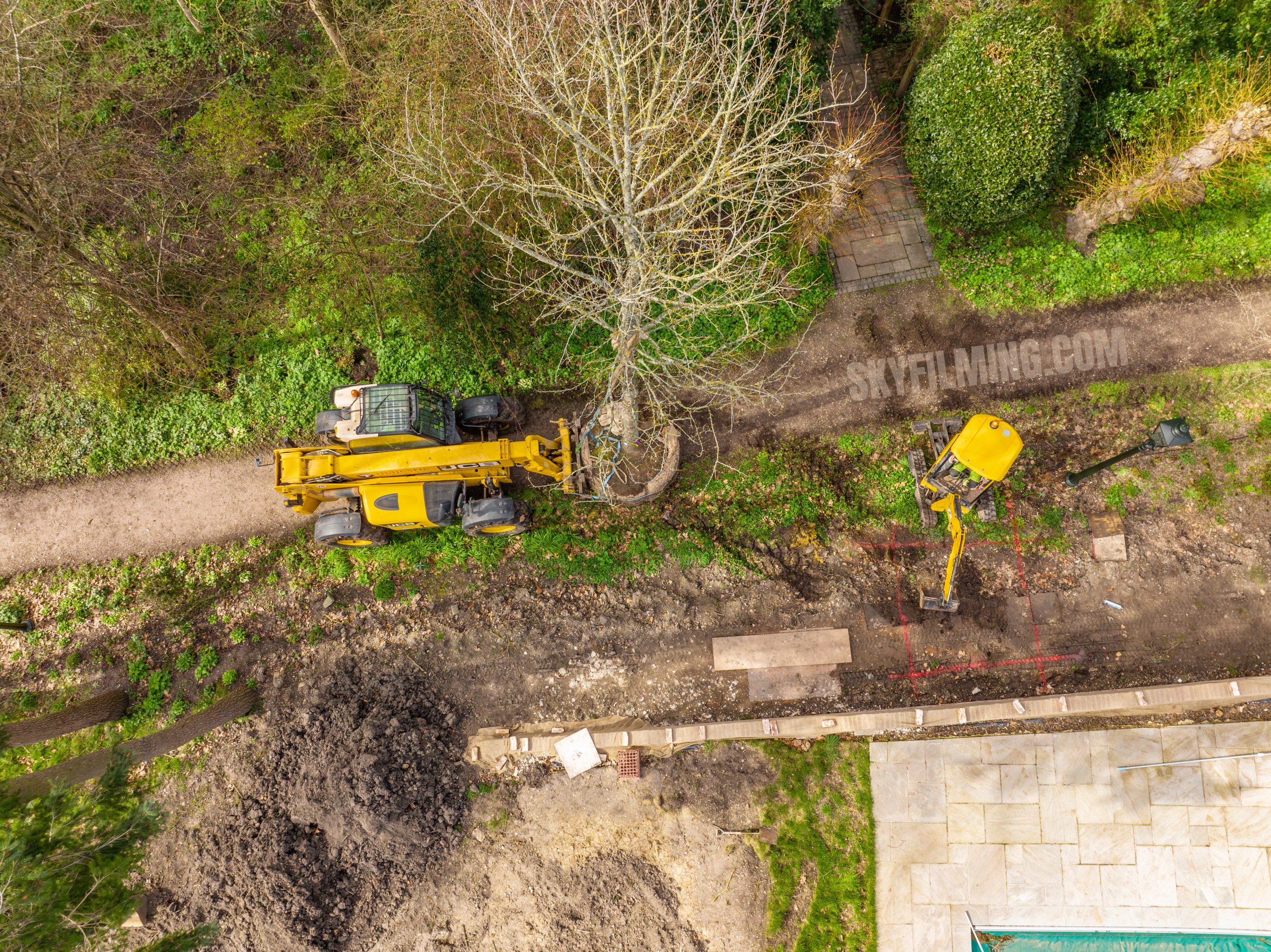 London Suburb Large Tree Planting Filming - Drone Filming Case Studies
